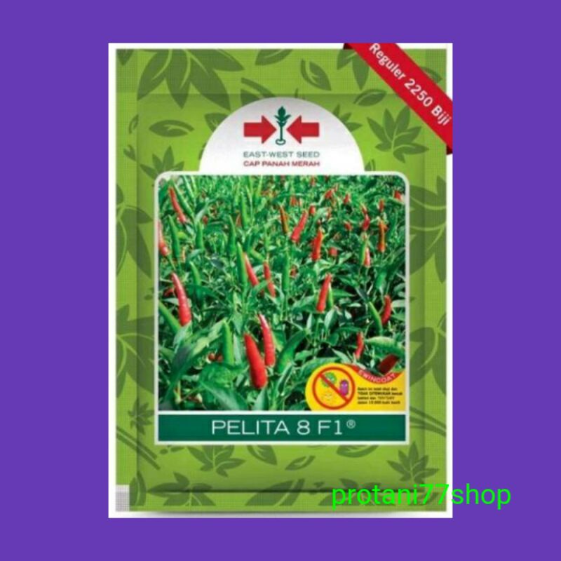 Jual Benih Cabai Hybrida PELITA 8 F1 CAP PANAH MERAH ISI 2250 Butir ...