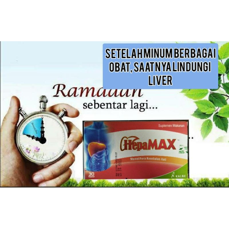 Jual HEPAMAX 30 kapsul | Shopee Indonesia