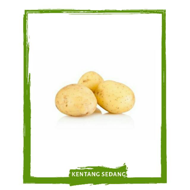 Jual Kentang / Kentang Besar / Kentang Kecil / Kentang Rendang / Sayur ...
