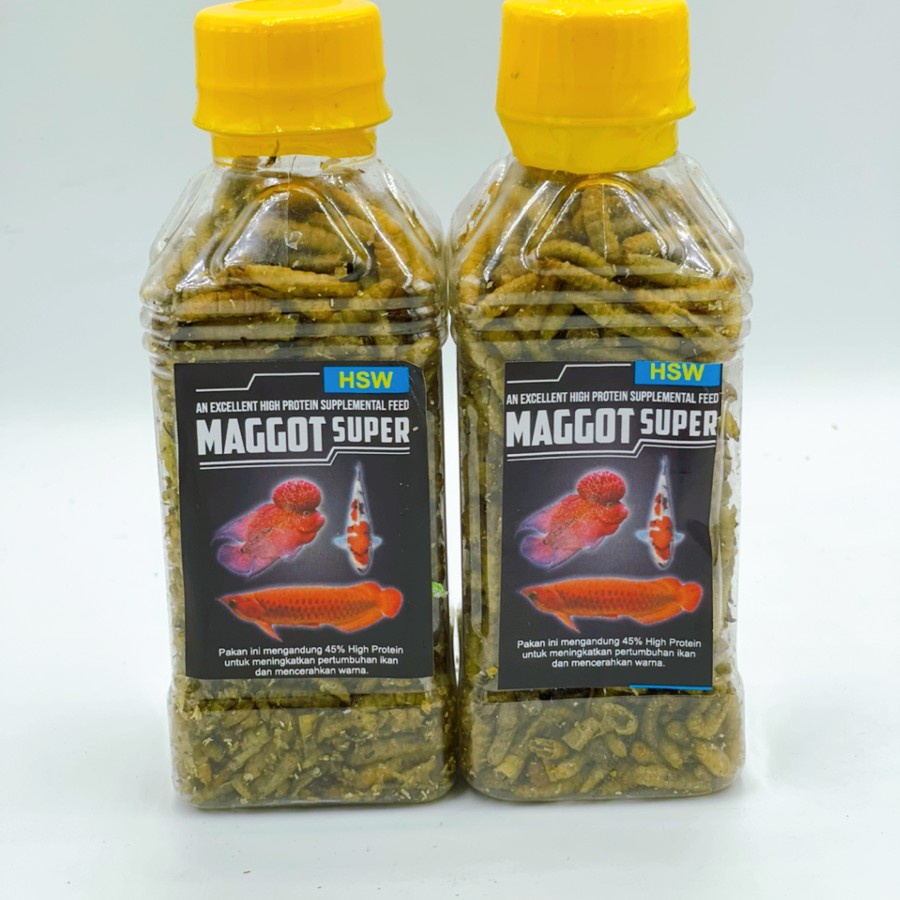 Jual MAGOT SUPER HWS PAKAN PREMIUM IKAN KOI 100 GRAM | Shopee Indonesia