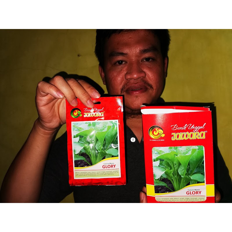 Jual Benih Unggul Jawara Caisim Manis GLORY Daun Renyah dan Tebal ...