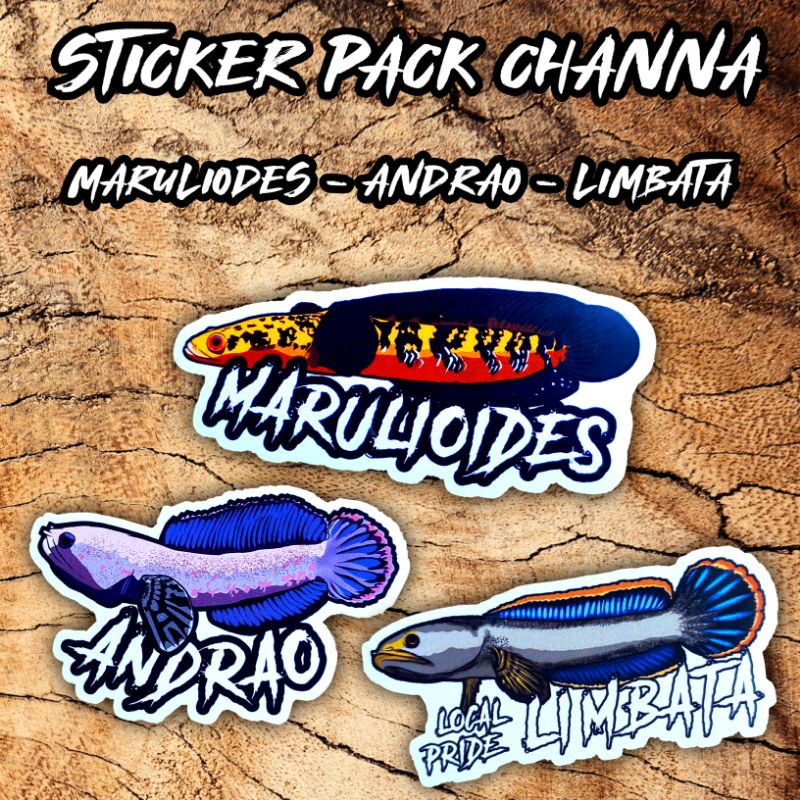 Jual Stiker pack ikan channa 3pcs (maru, andrao, limbata) BISA COD ...