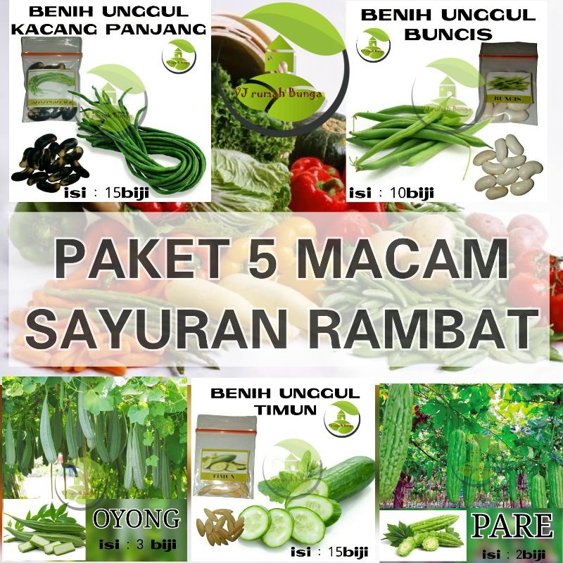 Jual Paket Benih 5 Macam Sayuran Merambat Benih Bibit Buncis Kacang ...