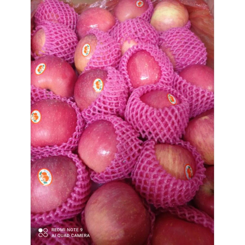 Jual Apel Fuji Premium 1kg | Shopee Indonesia