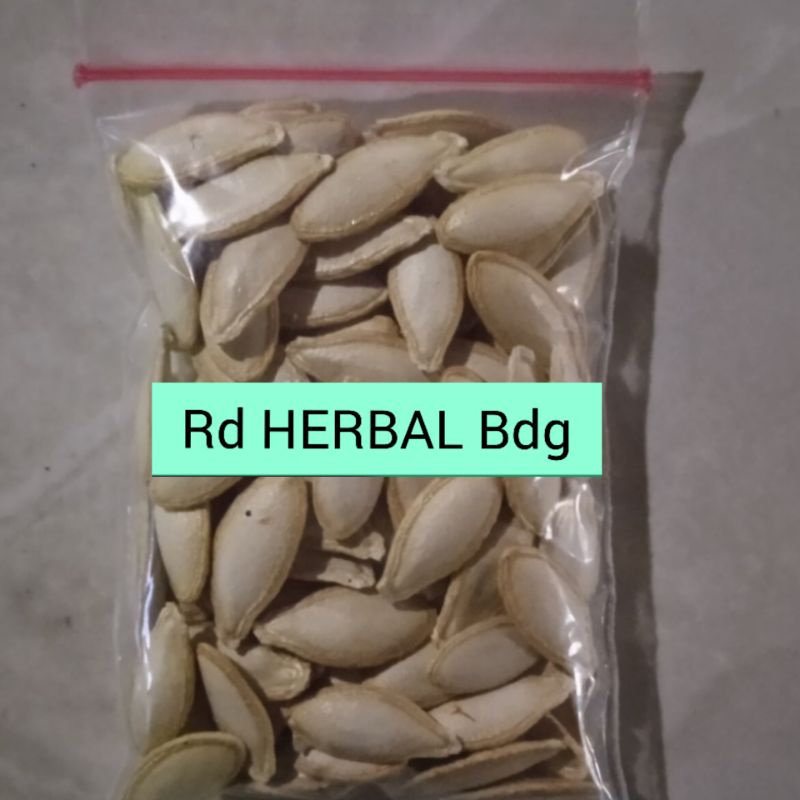 Jual Biji labu kuning 20biji asli | Shopee Indonesia