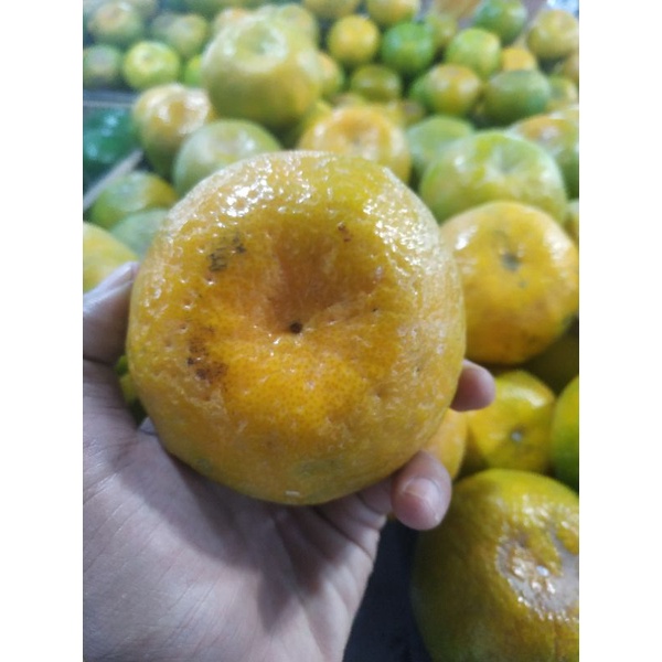 Jual jeruk garut segar/jeruk keprok 1kg | Shopee Indonesia