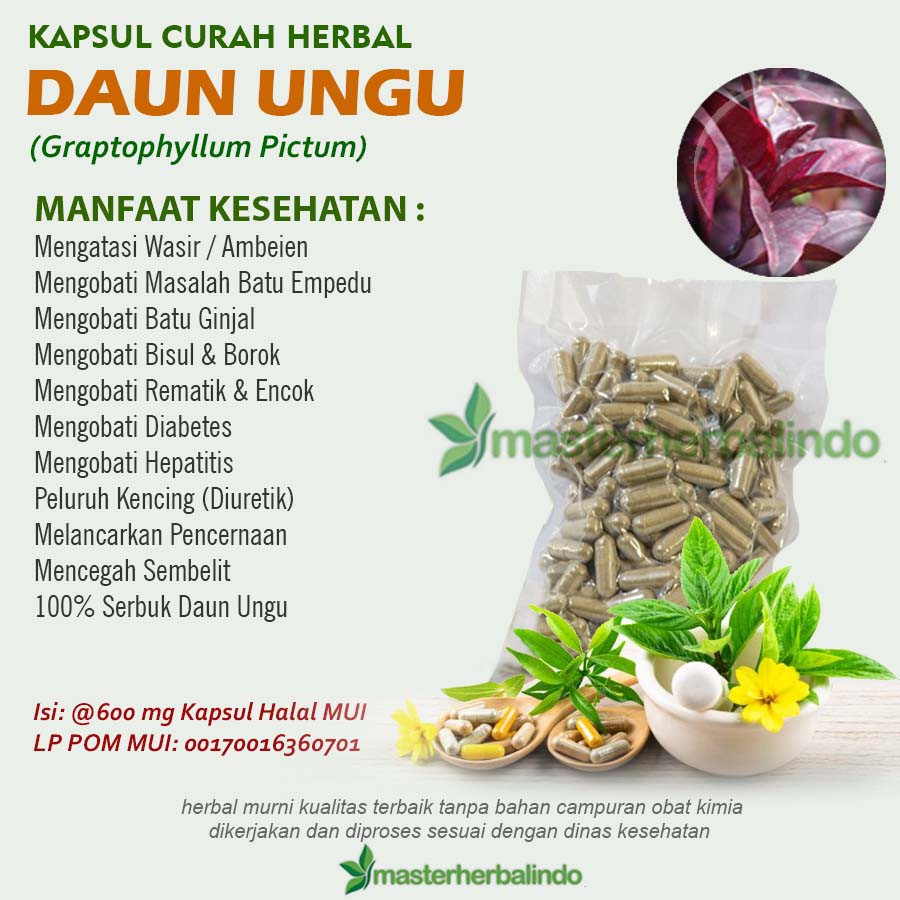 Jual DAUN UNGU 100 Kapsul Herbal Rematik Sakit Menopause Wasir Borok Empedu | Shopee Indonesia