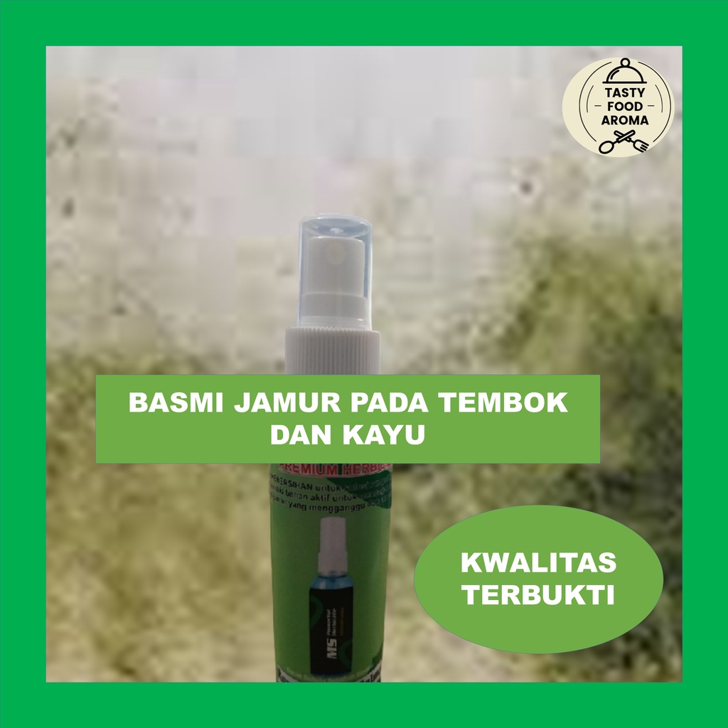Jual Cairan Anti Jamur Tembok Ampuh 100 ML, Cairan Penghilang Jamur ...
