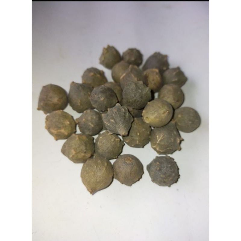 Jual Buah Manjakani / Majakani Hijau & Kuning 1 Kg | Shopee Indonesia