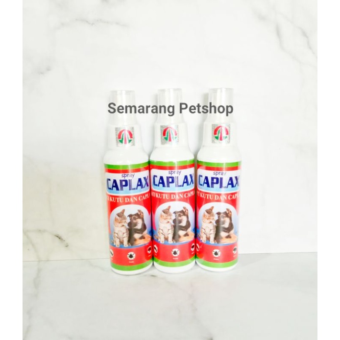 Jual Obat Anjing Gatal Obat Kutu Anjing Ampuh Obat Caplak Anjing Obat ...