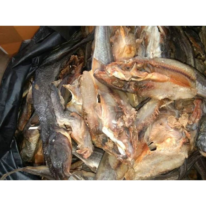 Jual ikan asin sembilang (ikan asin) | Shopee Indonesia