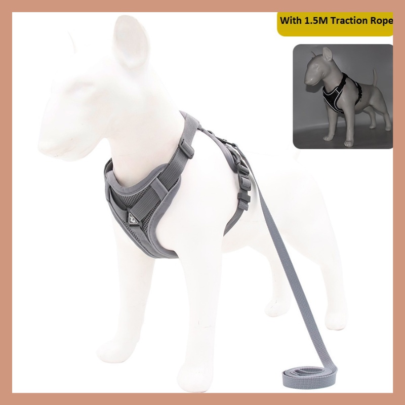 Jual Tali Anjing Harness Kucing Vest Tali Tuntun Pet Dog Cat Leash ...