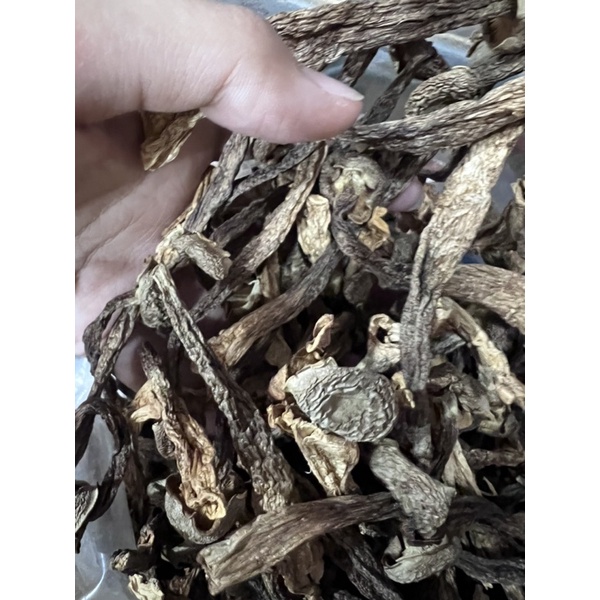 Jual Jamur velvet / lu rong gu 鹿茸菇 250gr | Shopee Indonesia