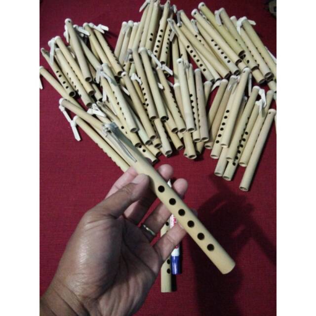 Jual SULING MINI DIATONIS NADA DOREMI DO RE MI 19 CM | Shopee Indonesia