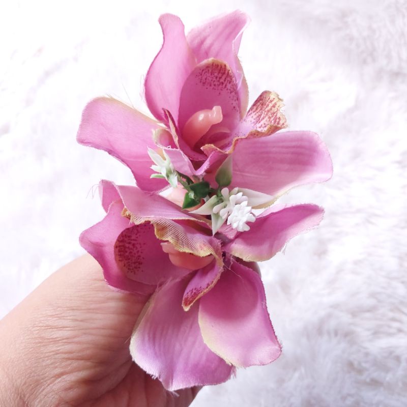 Jual Semanggi Anggrek Katalia / semanggi sanggul bali / semanggi bunga ...