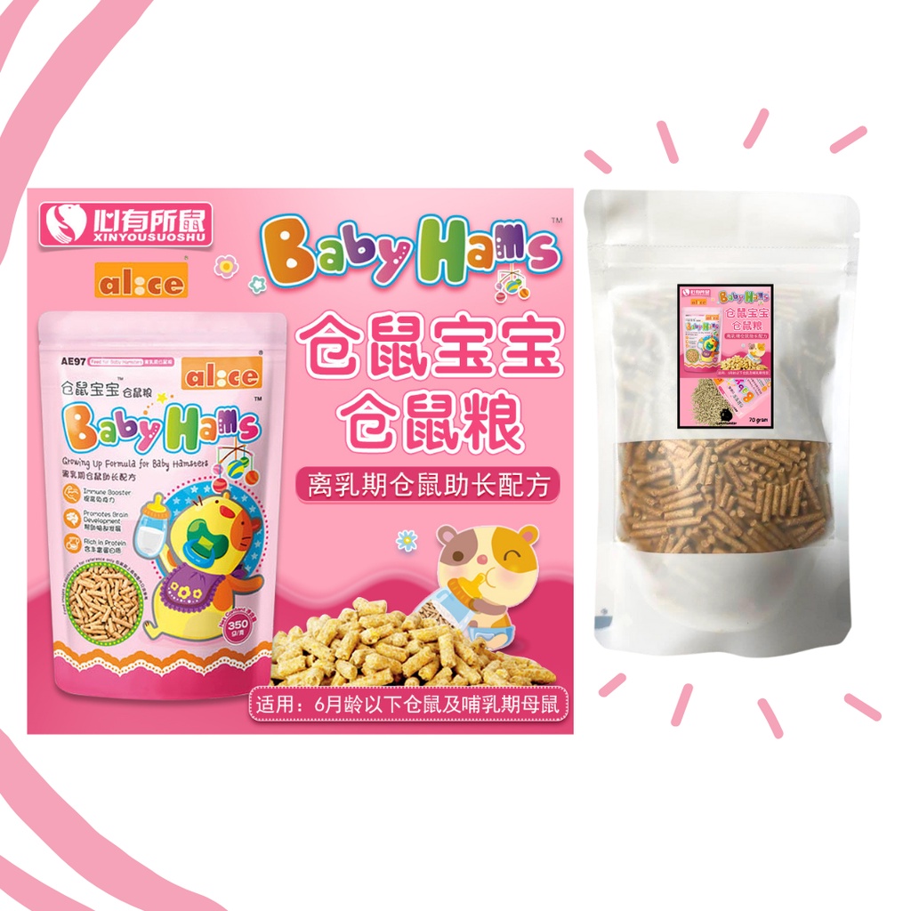 Jual Alice Baby Hams - Makanan Bayi Hamster | Shopee Indonesia