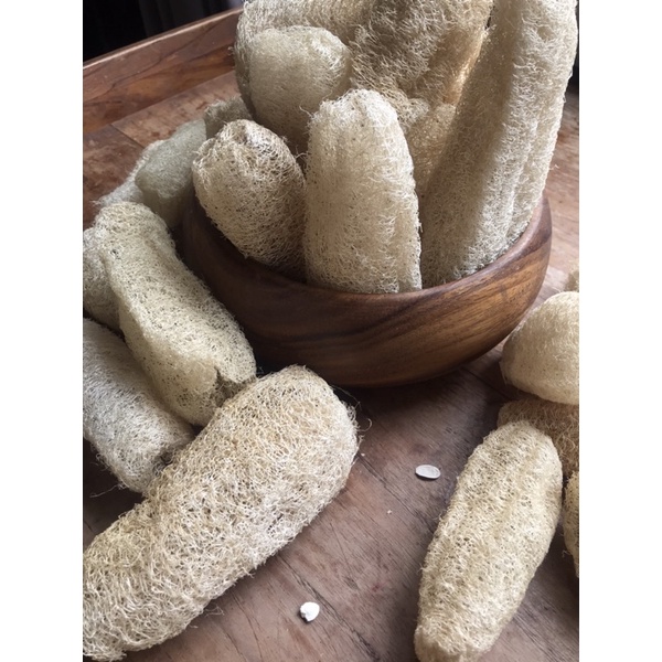 Jual Loofah - Pengganti spons cuci piring - Spons Natural - oyong ...