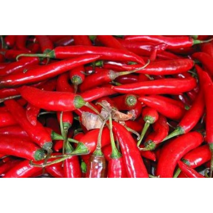 Jual Cabai Merah Besar (250 gram) | Shopee Indonesia