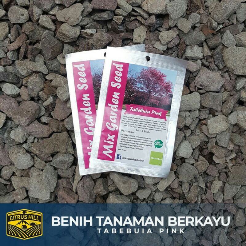 Jual Benih Tanaman Berkayu TABEBUIA PINK Mix Garden Seed | Shopee Indonesia