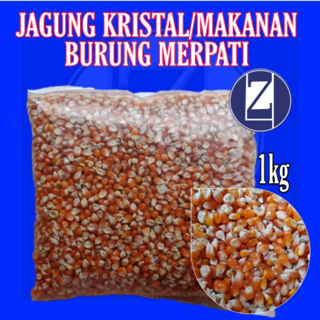 Jual Jagung Kristal Pakan Burung Dara Merpati Kemasan 1kg | Shopee ...