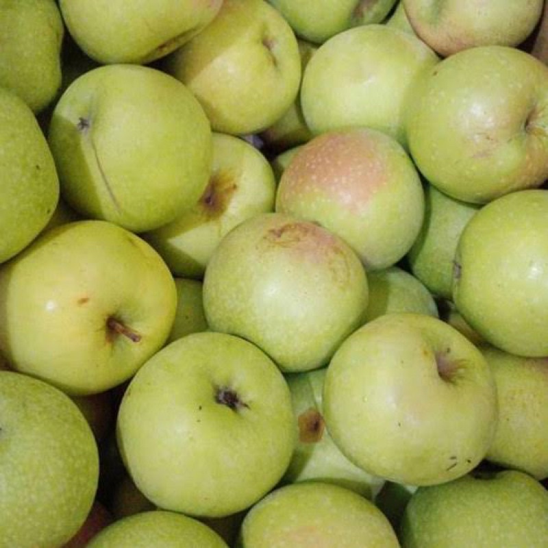 Jual apel manalagi mini khas Batu-Malang 1kg | Shopee Indonesia