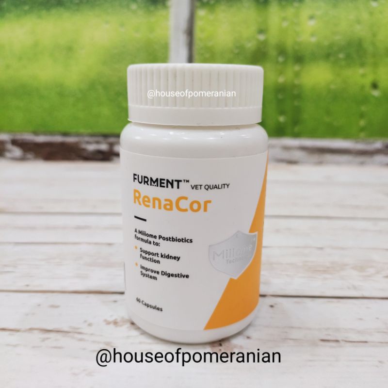 Jual RENACOR TABLET ECER suplemen ginjal anjing kucing dog cat kidney ...