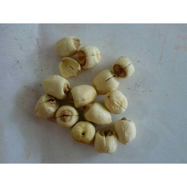 Jual 300 G GR GRAM BAI LIAN ZI LOTUS SEED SEEDS | Shopee Indonesia