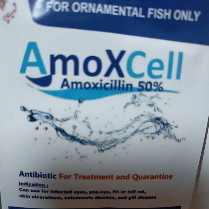 Jual Obat Karantina Ikan AmoXcell 100gram Aeromonas | Shopee Indonesia
