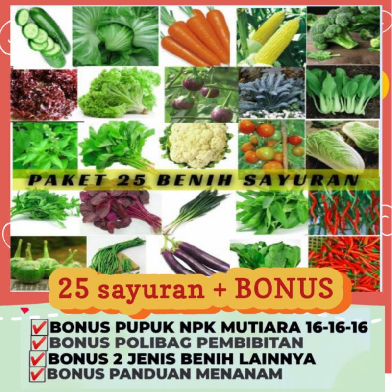Jual Paket 25 jenis biji benih sayuran bibit tanaman hidroponik + bonus | Shopee Indonesia