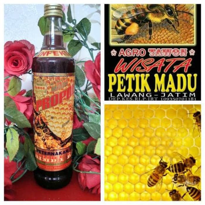 Jual MADU PROPOLIS INFEKSI 600ml - MMD2482 | Shopee Indonesia