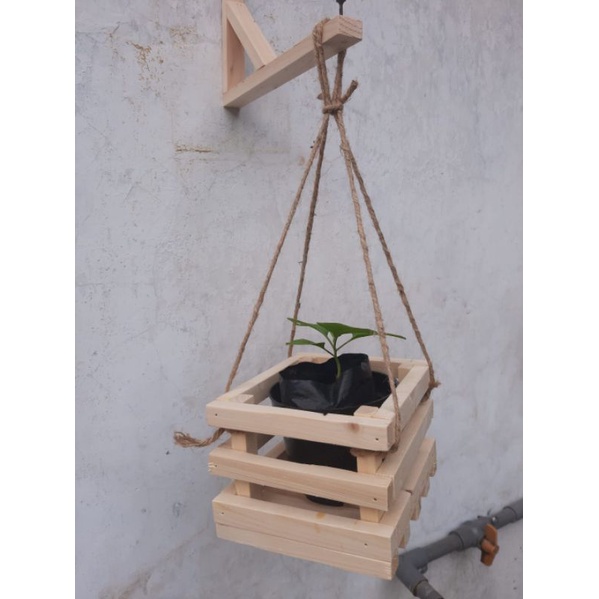 Jual pot tanaman / pot bunga / pot kayu / pot kayu jati belanda ...