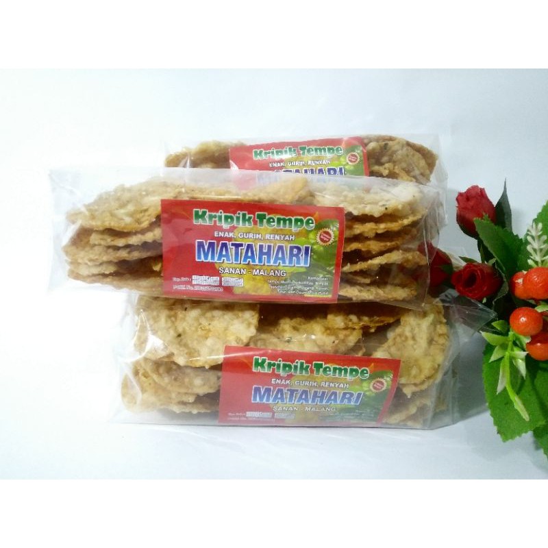 Jual KERIPIK TEMPE SANAN MALANG 100 Gram | Shopee Indonesia