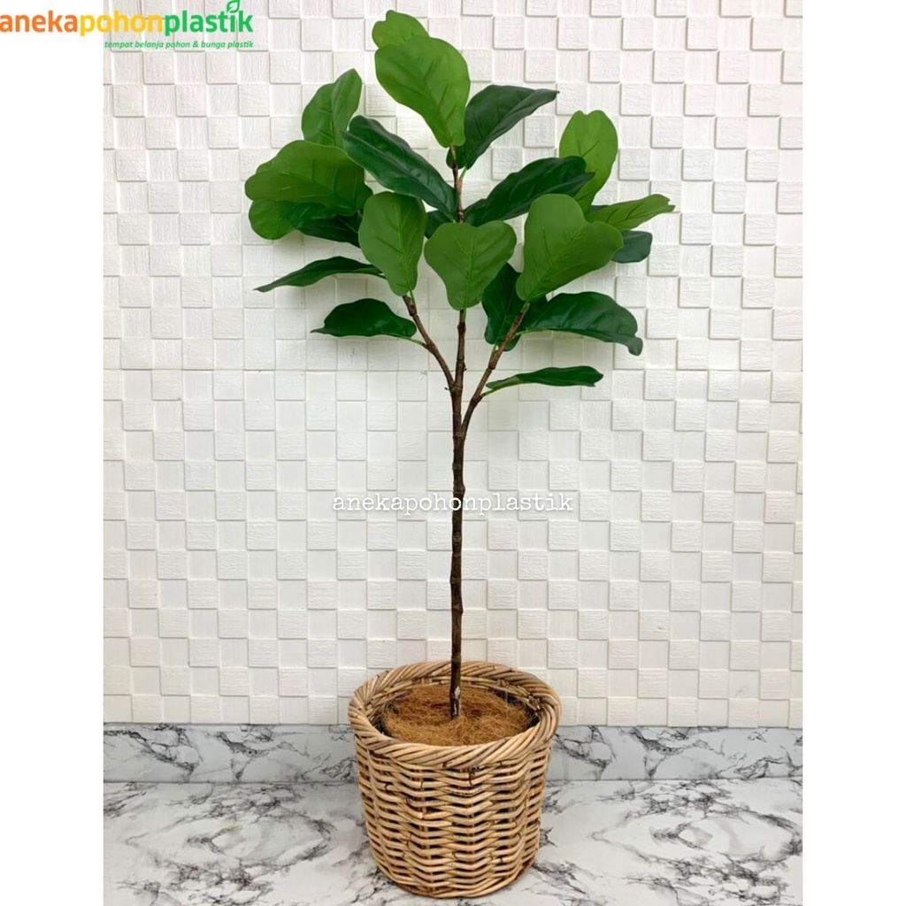 Jual Pohon Artifisial Daun Ketapang X3 T120 Latex Cover Keranjang Rotan ...
