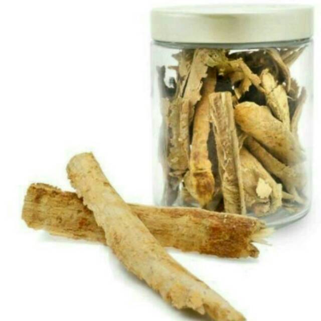 Jual Herbal Kulit Batang Kayu Pule Pulay Lame 250 GR | Shopee Indonesia