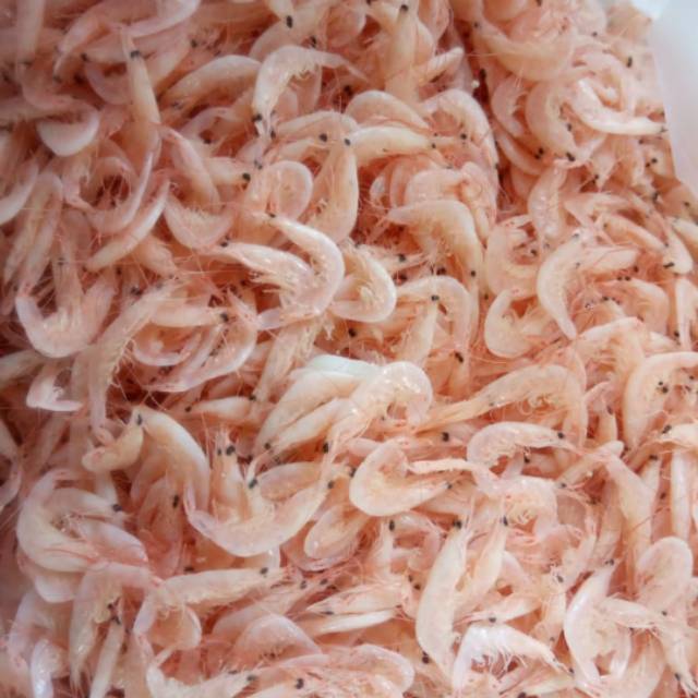 Jual Udang rebon | Shopee Indonesia