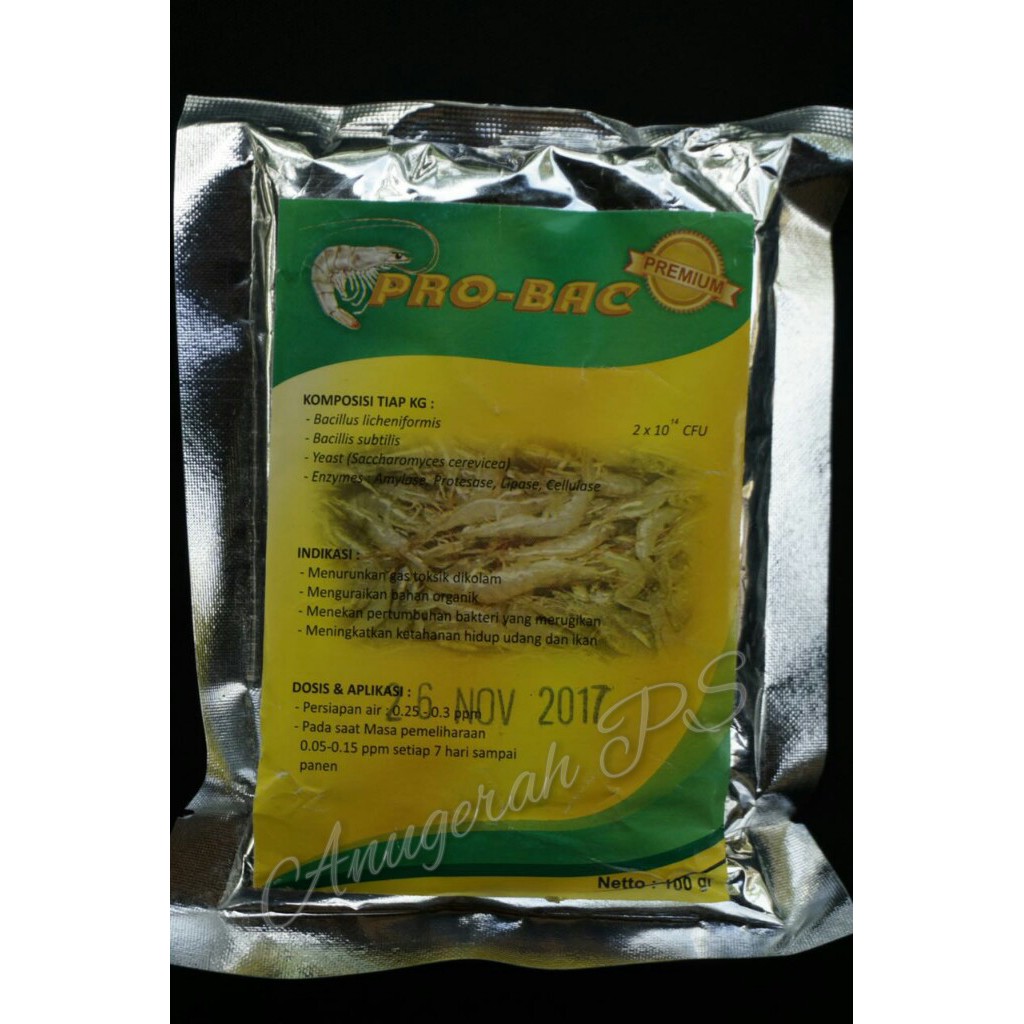 Jual Probiotik Budidaya Ikan Patin, Lele, nila Probac Premium Bacillus ...