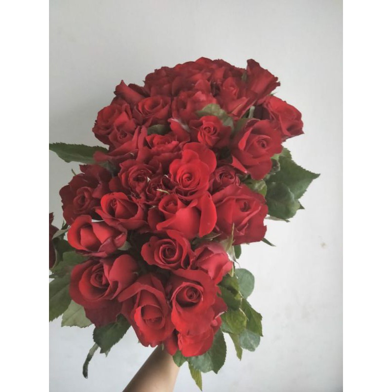 Jual mawar potong warna merah (10 tangkai) | Shopee Indonesia