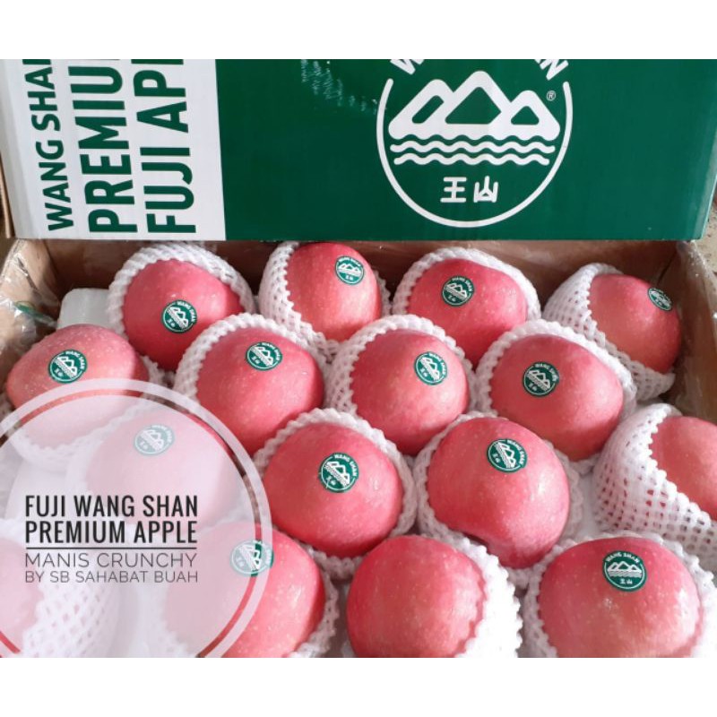 Jual BUAH APEL FUJI WANG SHAN PREMIUM APEL HIGH CLASS 1KG | Shopee ...