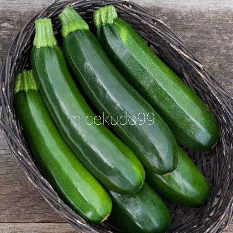 Jual FRESH ZUCCHINI GREEN 500 GRAM / ZUCHINI SUKINI HIJAU SEGAR SAYUR ...