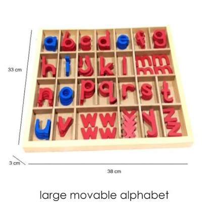 Jual LARGE MOVEABLE ALPHABET Mengenal Montessori Alphabet | Shopee ...