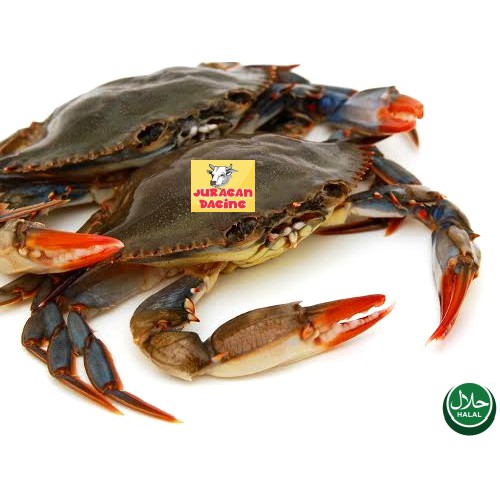 Jual KEPITING SOKA FROZEN - 1 KG - HARGA SPECIAL | Shopee Indonesia