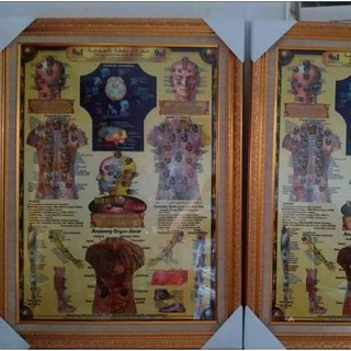 Jual Poster Bekam 9in1 TAMPA BINGKAI | Shopee Indonesia