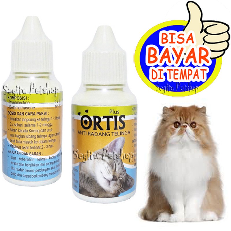 Jual OBAT TETES TELINGA KUCING RADANG TELINGA BENGKAK INFEKSI KUPING ...