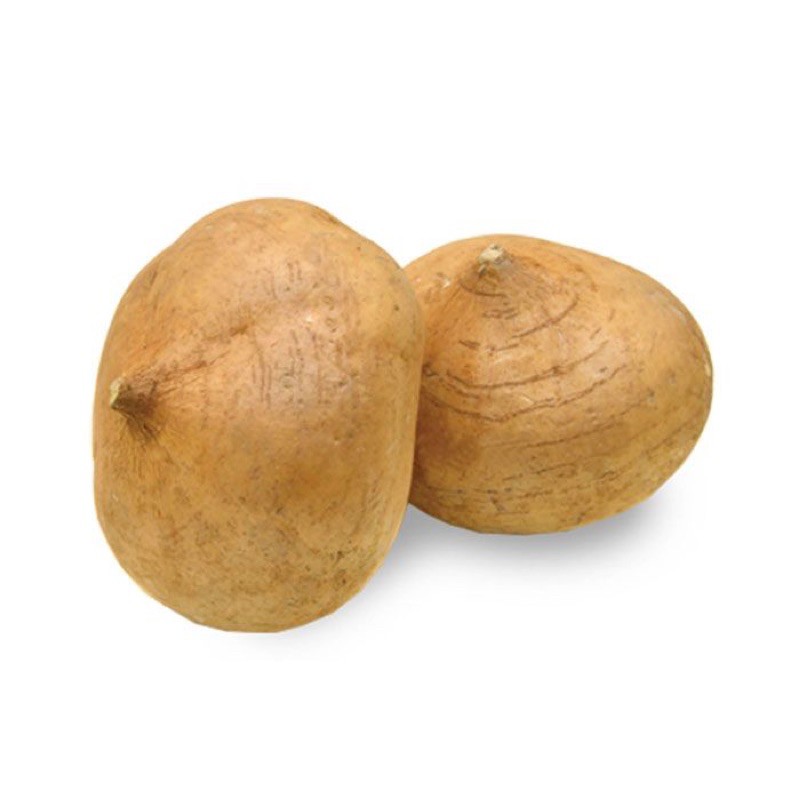 Jual Bengkoang Organik 1000g | Shopee Indonesia