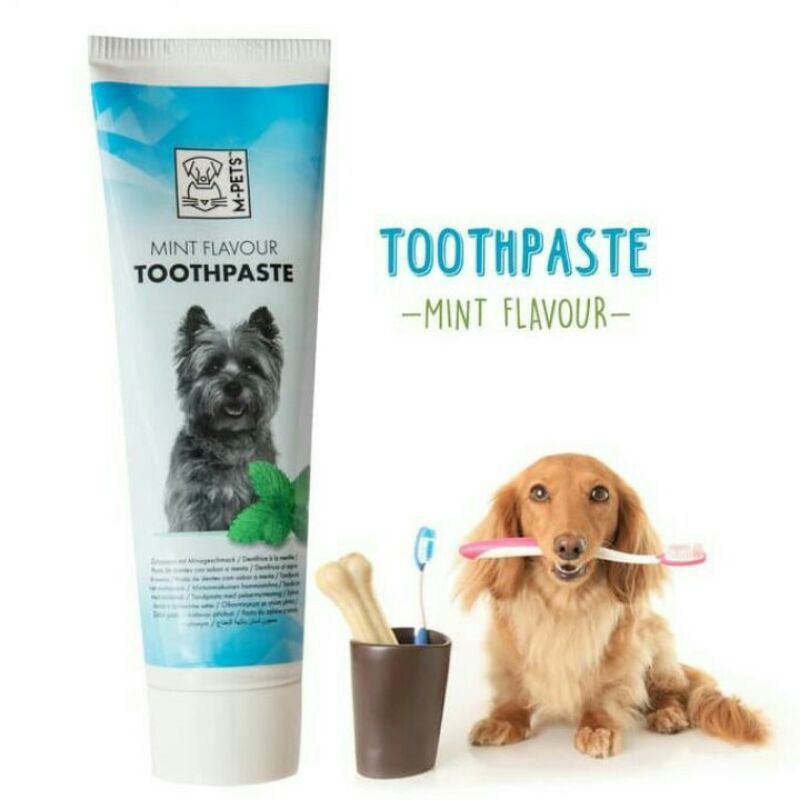 Jual M-Pets Mint Flavour Toothpaste 100gr | Shopee Indonesia