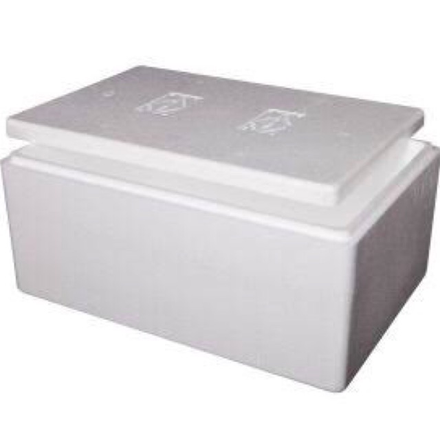 Jual Ice box untuk kapasitas 1 - 3 kg | Shopee Indonesia