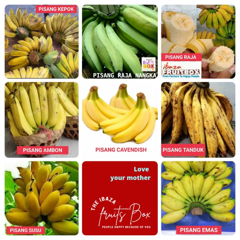 Jual Buah Pisang Kita Pisang Ambon/ Pisang Cavendish/ Pisang Raja ...