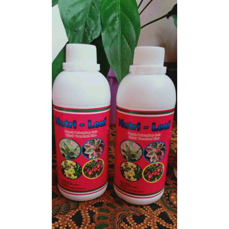 Jual Pupuk daun hormon penyubur kilat tanaman hias Nutri Leaf 500 ml | Shopee Indonesia
