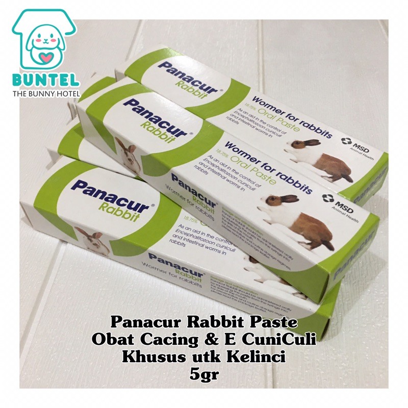 Jual Panacur Oral Rabbit Paste | obat cacing ecuniculi khusus utk ...