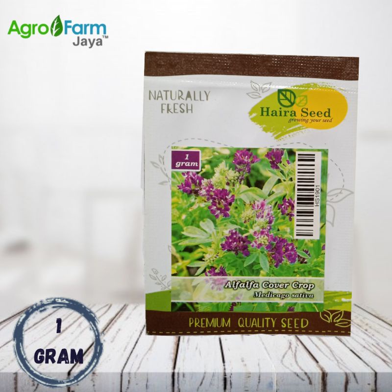 Jual Bibit Rumput Alfalfa ( Haira Seed ) | Shopee Indonesia
